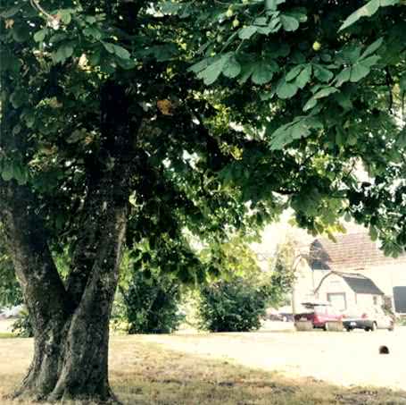 Chestnut Springs Farm & Cidery - Your Special Event Destination